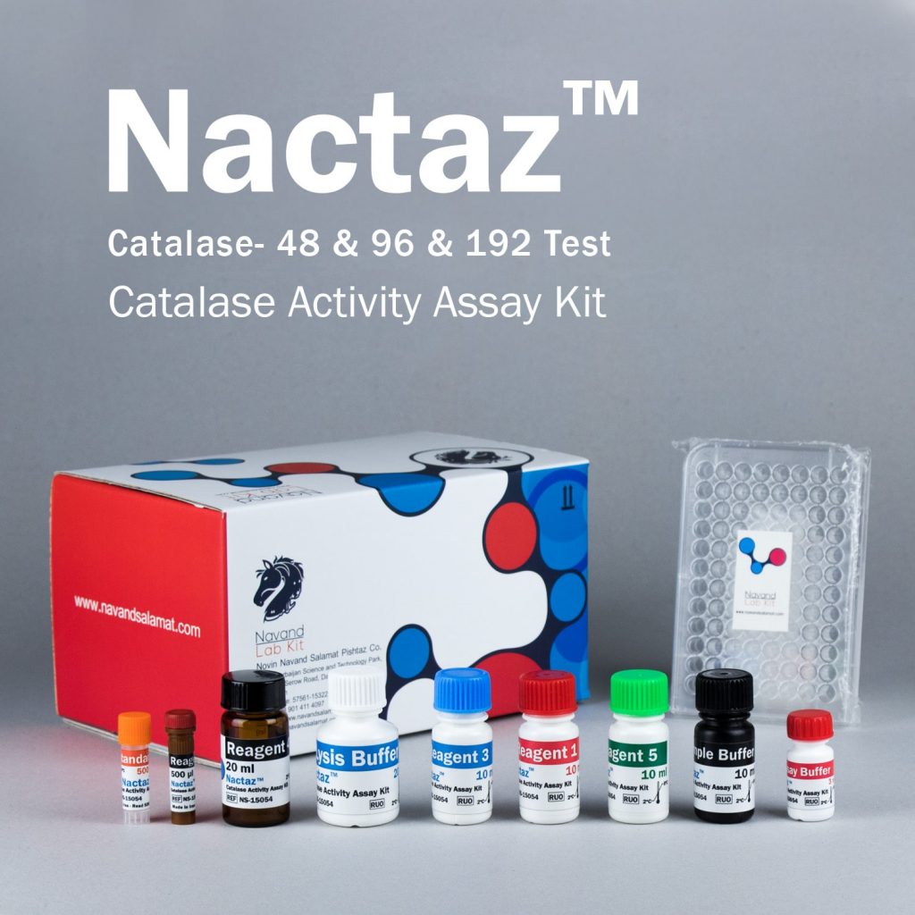 Catalase activity assay kit (CAT) - نوند سلامت